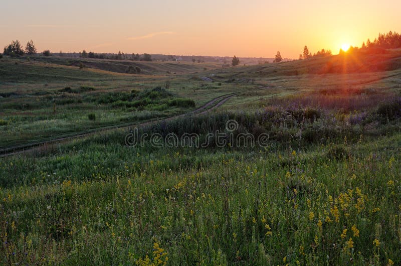 Green Grassy Hills with Small Distant Trees in Summer Sunrise Stock ...