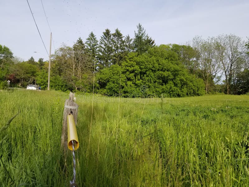 Green Grassy Open Field stock image. Image of lawn, grassland - 248955417