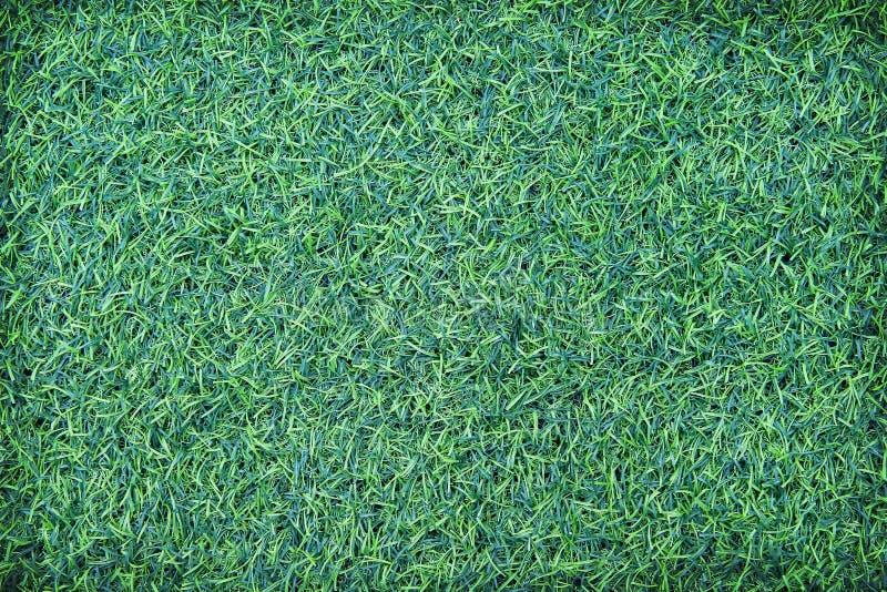 Green Grassy Texture Decorative in Garden Top View Background Stock ...