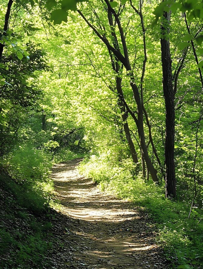 Green Greenery Forest Path Peaceful Pathway Road Landscape Stock ...