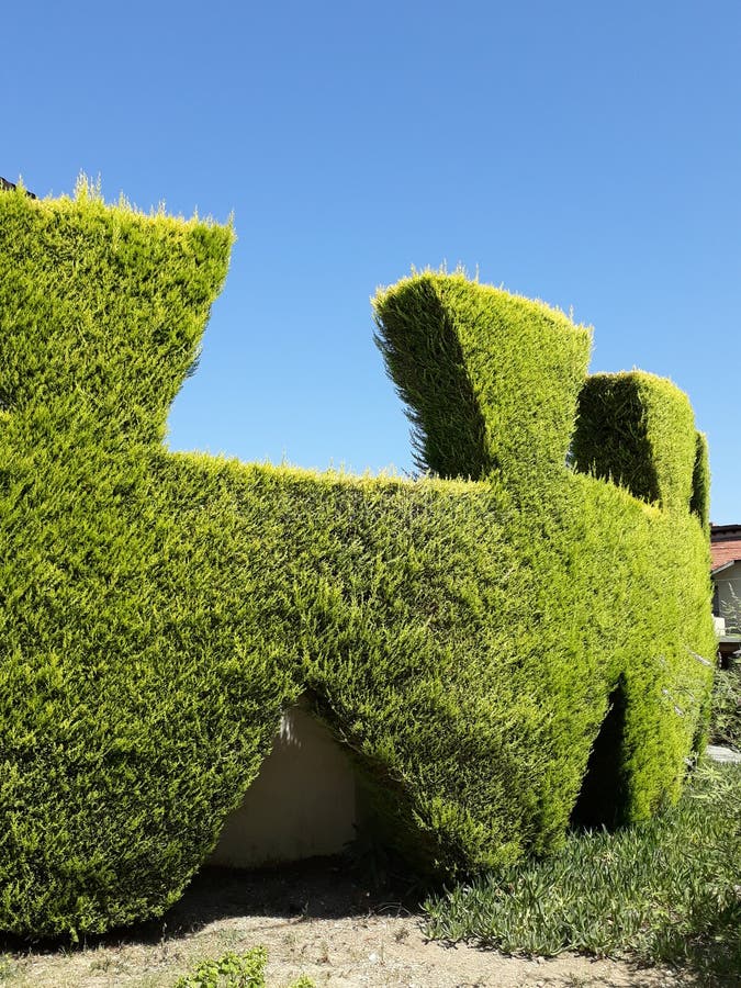 Greenwall Greengrass Garden Stock Photos - Free & Royalty-Free Stock ...