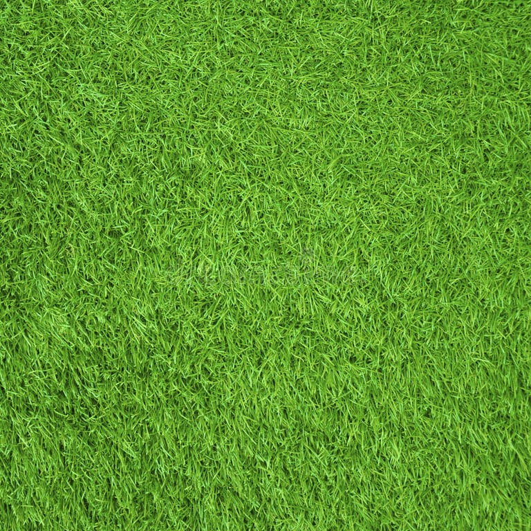 Green gress stock image. Image of leaves, fresh, lush - 26105731