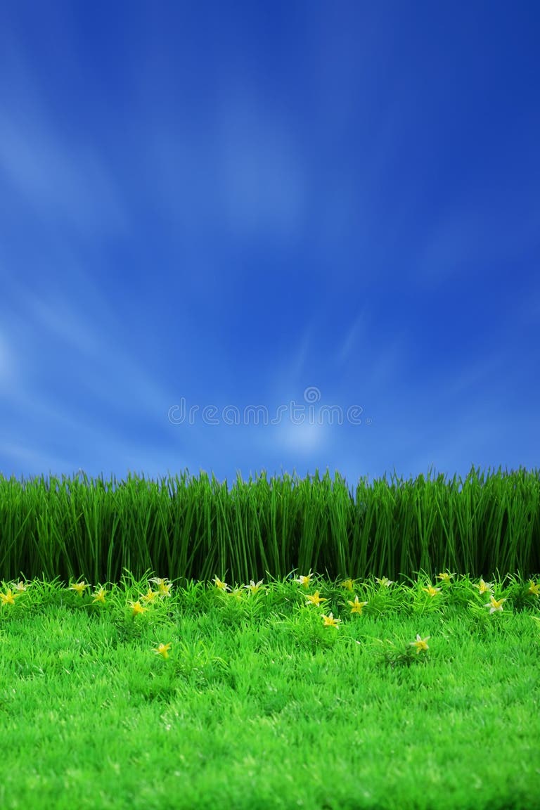 329 Background Green Gress Stock Photos - Free & Royalty-Free Stock ...