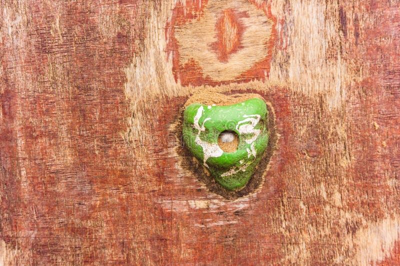 Green grip stock photo. Image of hand, recreation, space - 141586578