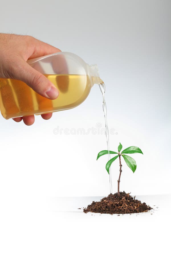 Green growth stock photo. Image of clean, nature, ecology - 16245976