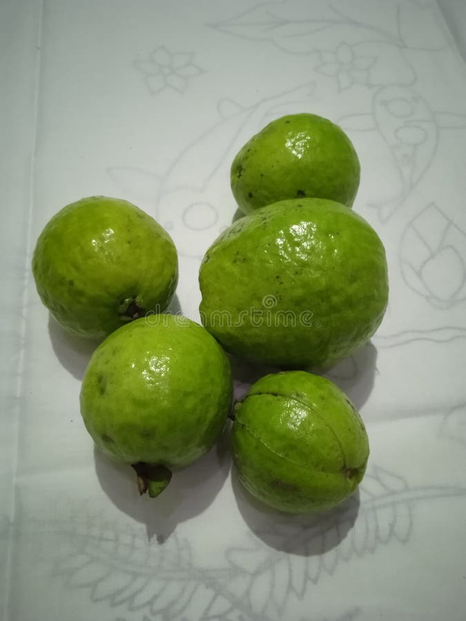 Green guava fruits stock photo. Image of strawberry - 250322664