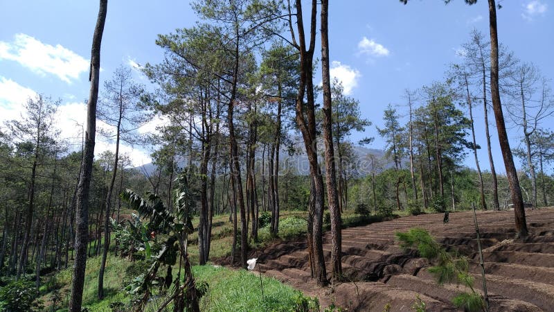 Green hall in the mountain stock image. Image of hiling - 354231223