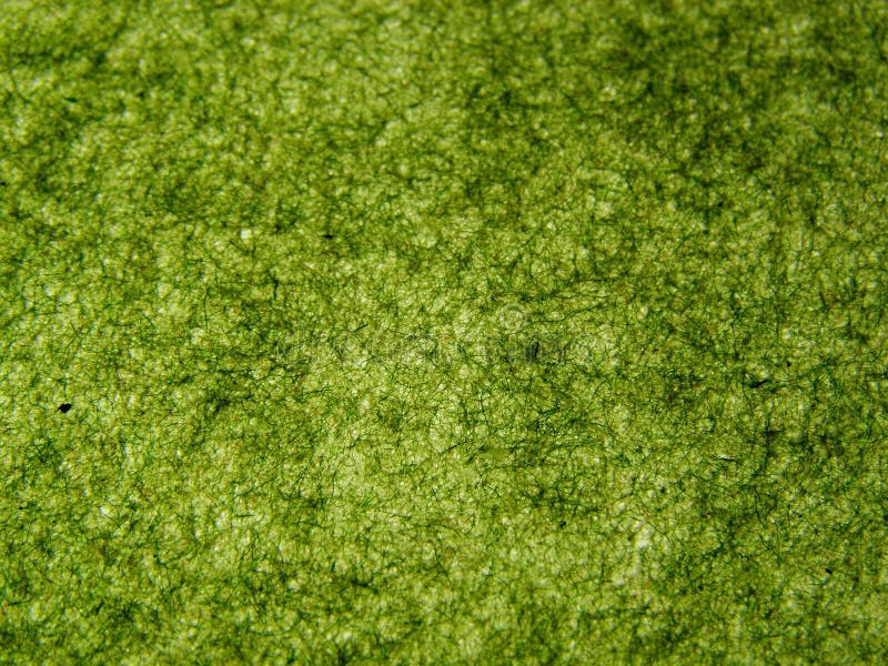 Handmade paper stock photo. Image of beauty, beautiful - 10868334