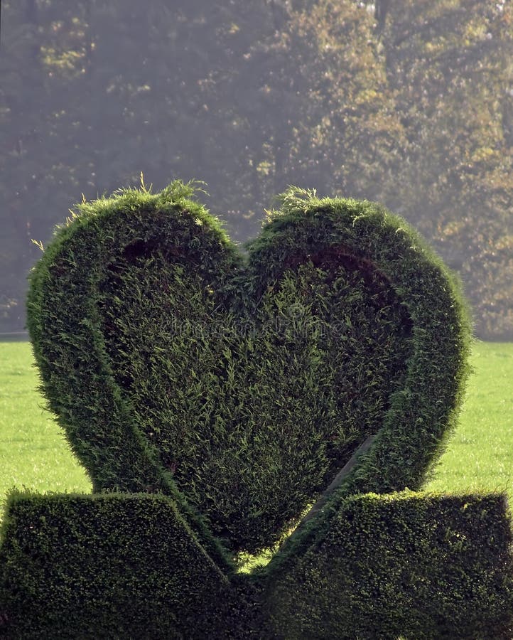 88,054 Heart Tree Photos - Free & Royalty-Free Stock Photos from Dreamstime