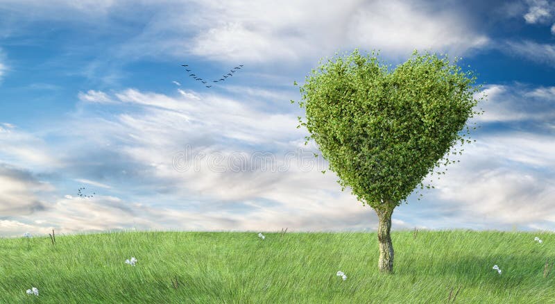 Green heart stock image. Image of wood, dear, heart, letter - 14073