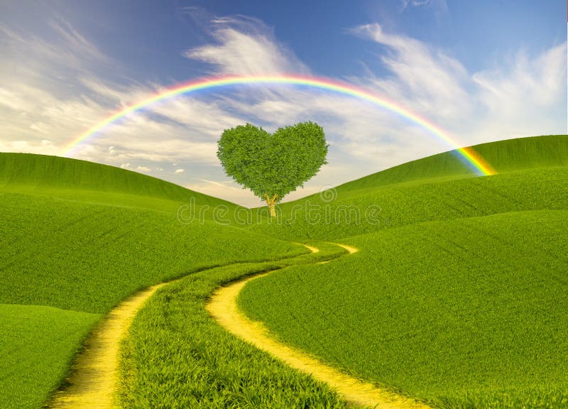 Green Heart-shaped Tree on a Spring Meadow,rainbow Stock Photo - Image ...