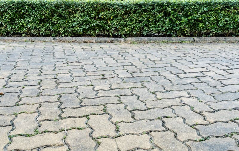 1,571 Block Hedge Stock Photos - Free & Royalty-Free Stock Photos from ...