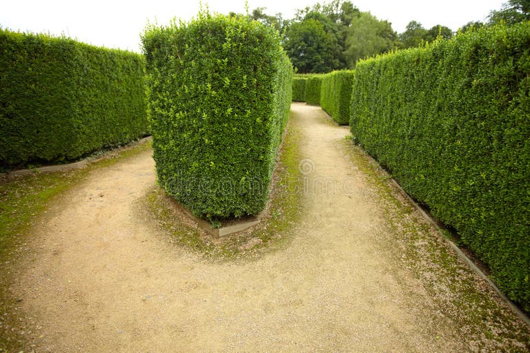 Hedge Plan View Stock Photos - Free & Royalty-Free Stock Photos from ...