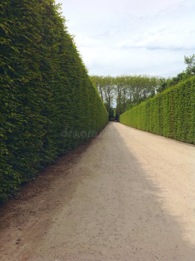Hedges Along the Walking Path Stock Image - Image of bright, stone ...
