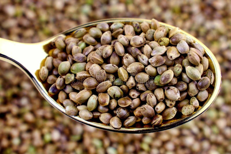 Green Hemp Seeds in the Spoon Close Up Stock Image - Image of organic ...