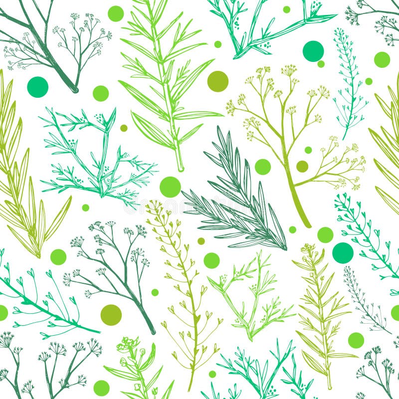 Botanical Herbal Seamless Pattern. Healing Field Herb Plants Seamless ...
