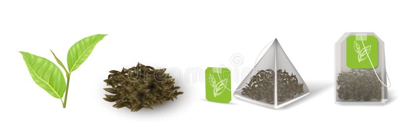 Green Herbal Tea in Teabag and Pile, Fresh Plant Set. Triangular ...
