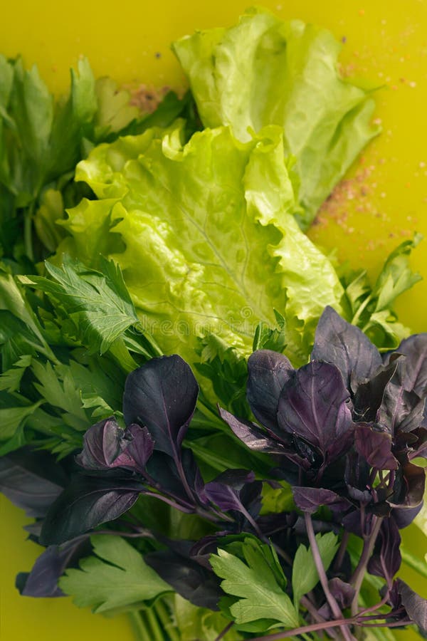 Green herbs stock image. Image of color, agricultural - 68200081