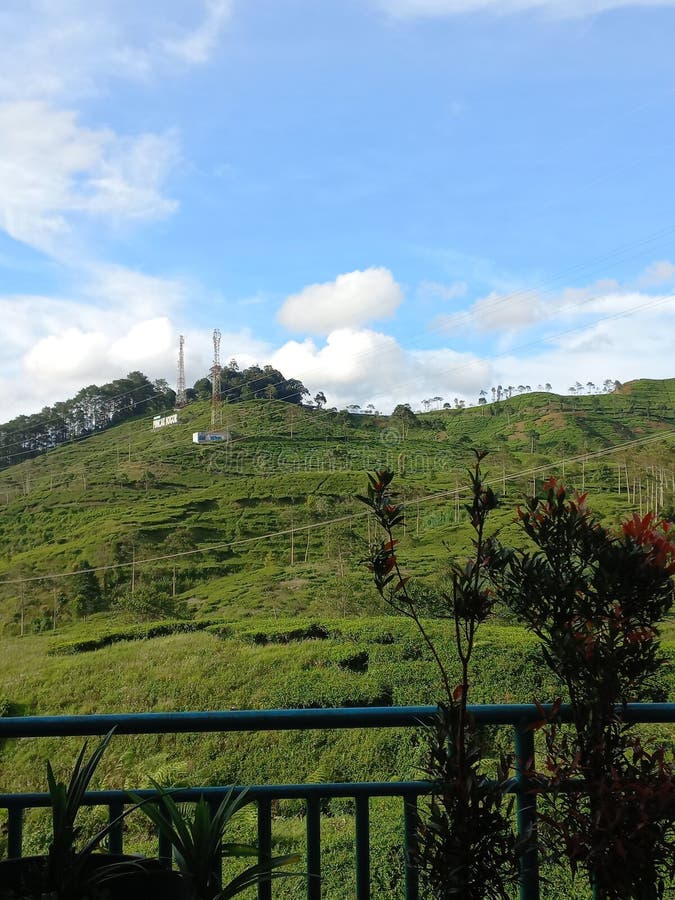 Green hill in Bogor stock photo. Image of bogor, cloud - 284560182