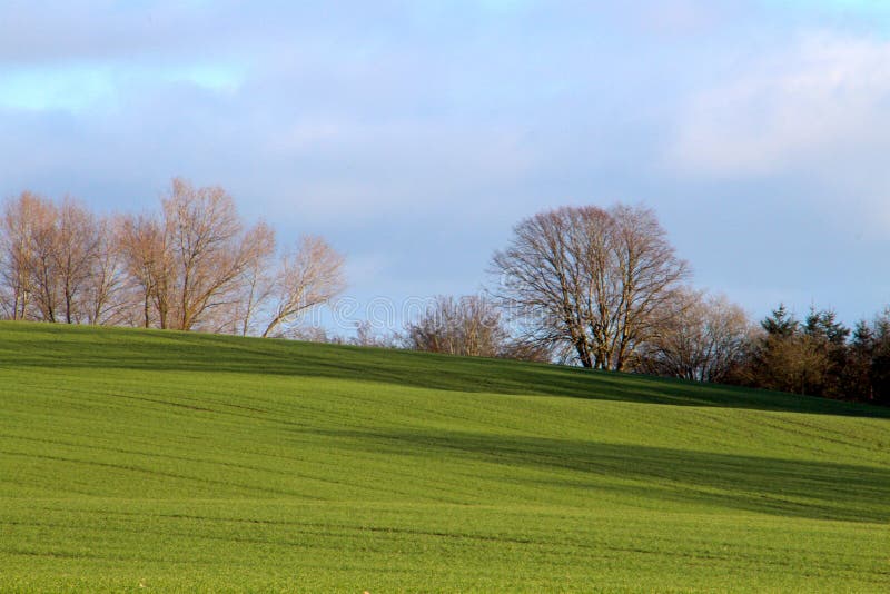 The Green January 2023 Monthly Desk Calendar for 2023 Year on Grass ...
