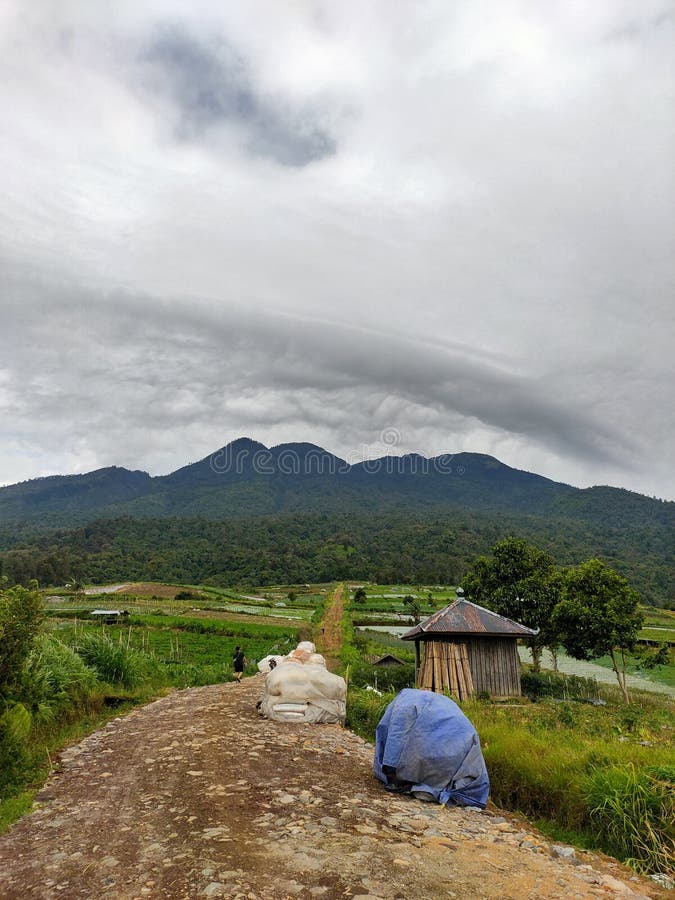 Lawu Green Hill 3 stock photo. Image of lawu, mountain - 268694140