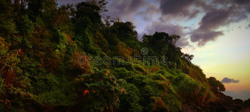 Green hill mangsit stock image. Image of forest, cloud - 232882793