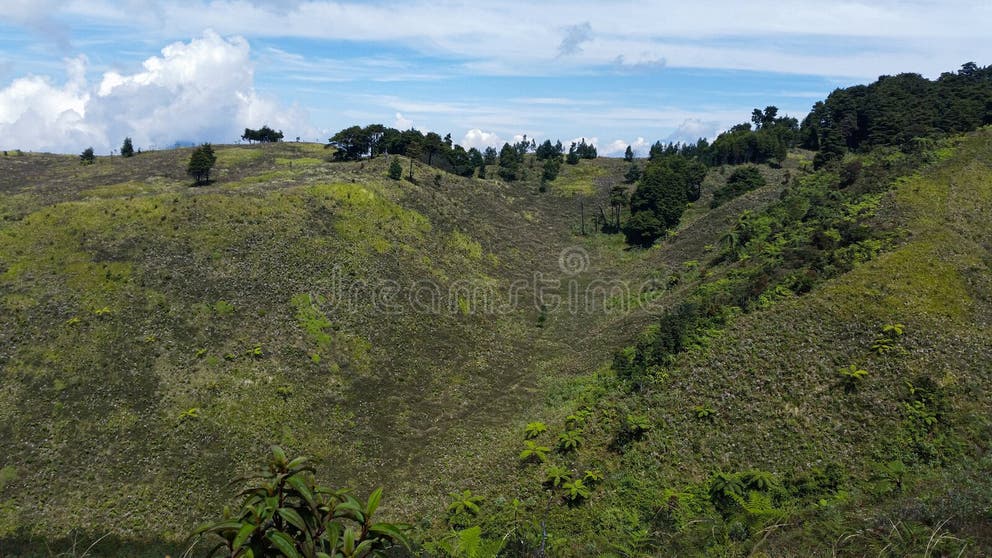Green Hill on Mount Prau Wonosobo, Central Java Stock Photo - Image of ...