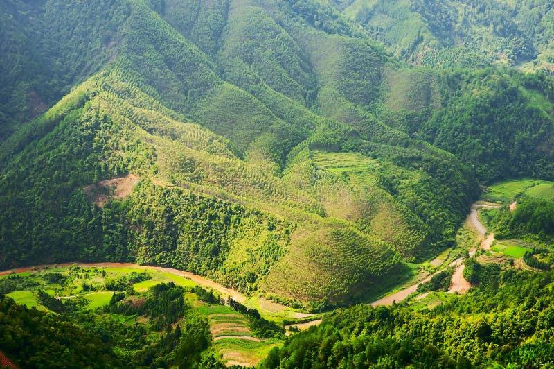 Green hills stock photo. Image of landscape, nature, hill - 20452412