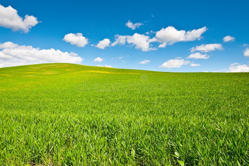 Green Hills stock photo. Image of grass, europe, chianti - 25629494