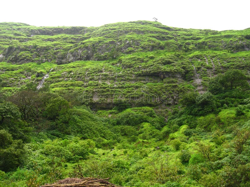 Green hills stock image. Image of landscape, nature, lump - 3197749