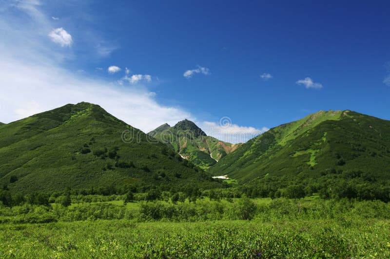 Green hills stock photo. Image of hills, freedom, healthy - 4048006