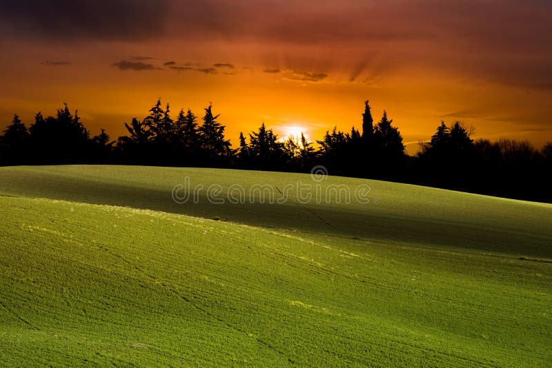 Green Hills and Backlight Trees Background Stock Photo - Image of ...