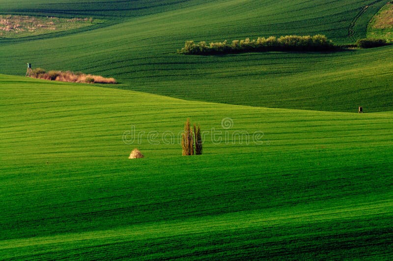 Green hills in moravia stock image. Image of landscape - 271776043