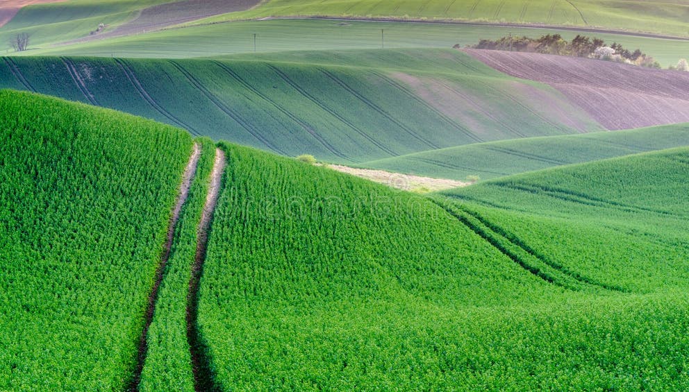 View on Green Hills in Moravia Stock Photo - Image of farm, grass ...