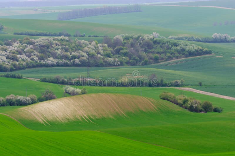 View on Green Hills in Moravia Stock Image - Image of agriculture ...