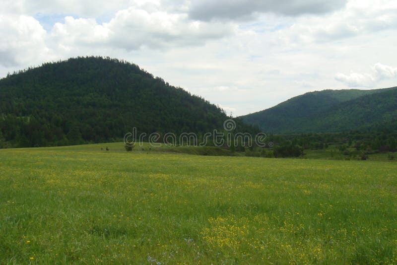 Lush dell stock image. Image of morning, summer, green - 8894149