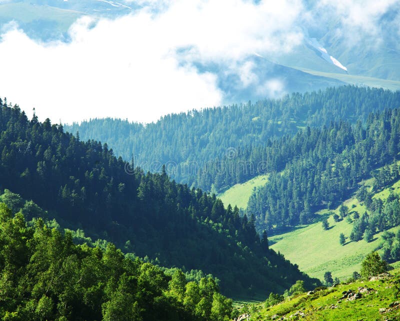 Green hills stock photo. Image of spring, meadow, hills - 54172928
