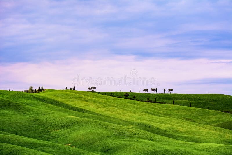 Green Hills with Trees on the Top Stock Image - Image of scenic, blue ...