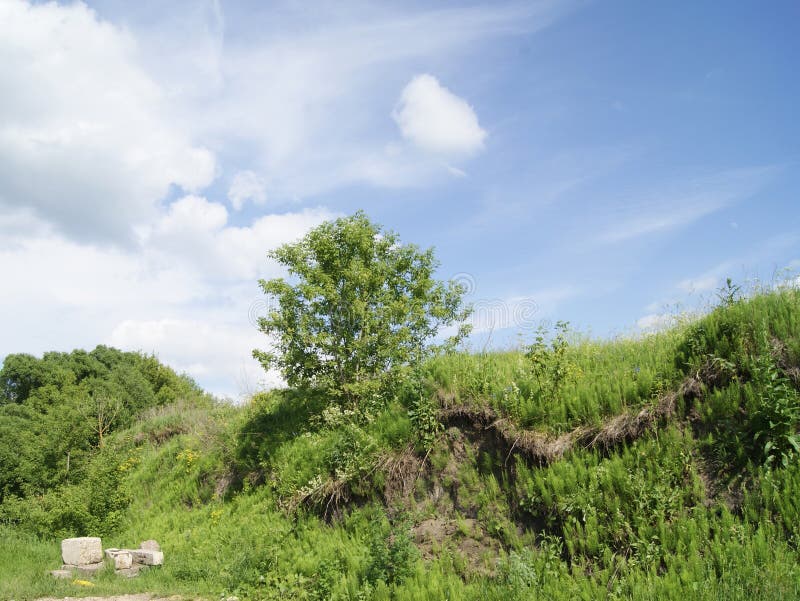 Green Hillside with Tree and Clouds Stock Photo - Image of beautiful ...