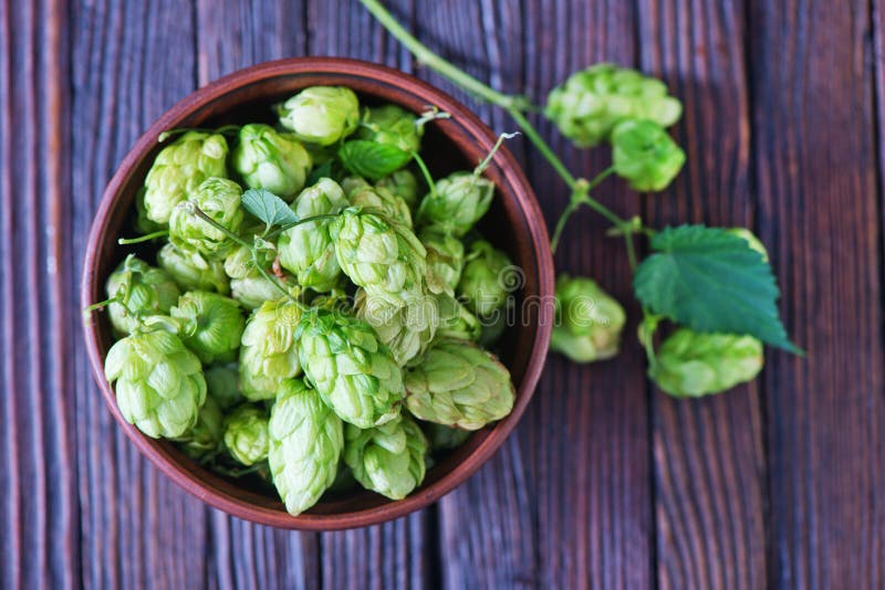 Green hope stock image. Image of life, background, antique - 66006415