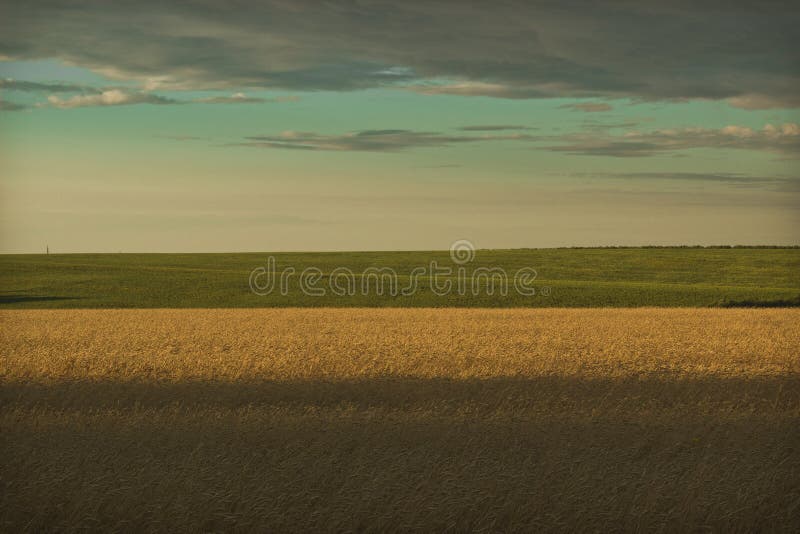 Green horizon stock image. Image of large, environment - 26270687