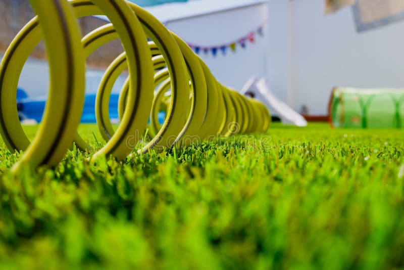 Green Hose on the Grass and Compressed Coiled Stock Image - Image of ...