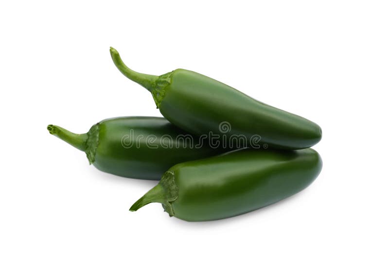 Green Hot Chili Peppers Isolated on White Stock Photo - Image of cook ...
