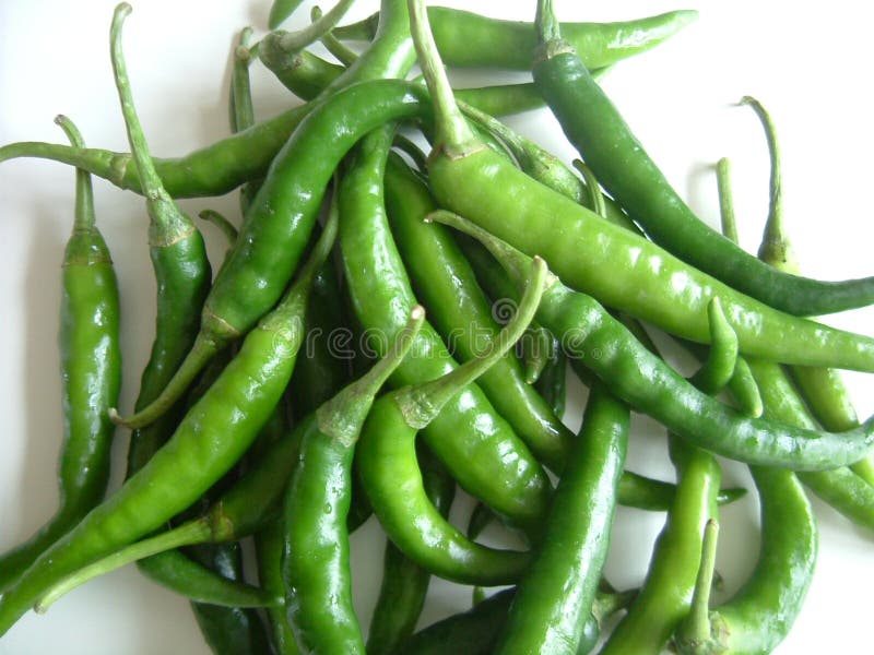 Green hot chilly stock photo. Image of white, chillies, everyday - 80454