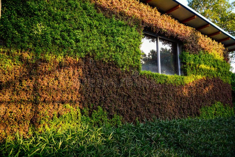 Green house gardening stock image. Image of beauty, concept - 35700319