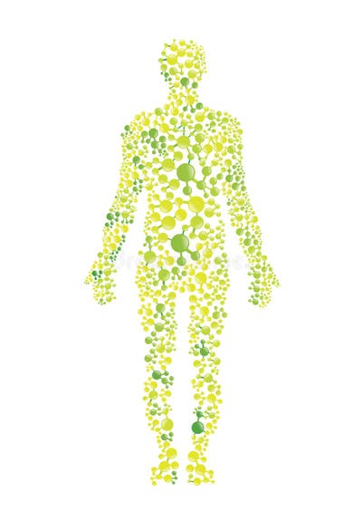 Green human body stock vector. Illustration of symbol - 20882907