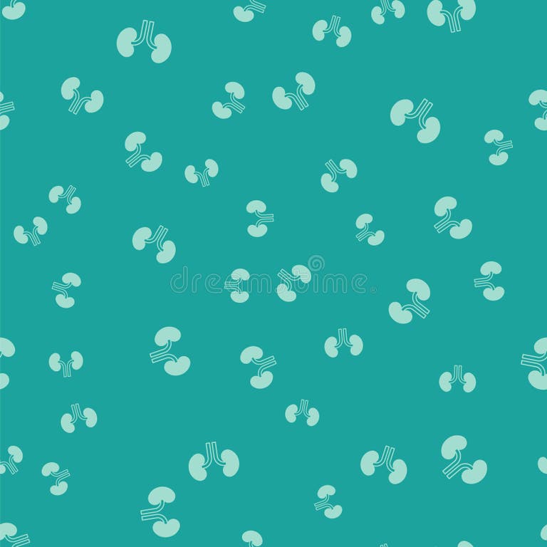 Green Human Kidneys Icon Isolated Seamless Pattern on Green Background ...