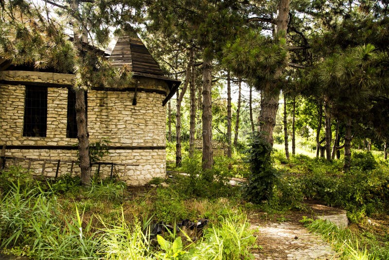 Green hut in forest stock image. Image of natural, environment - 128244799