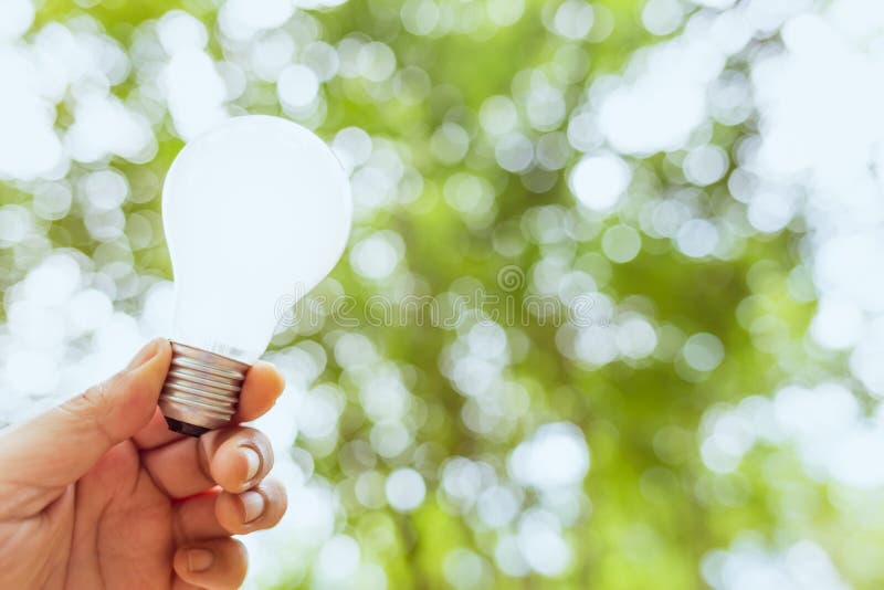 Green Idea Bulb on Treetop Background Stock Photo - Image of care ...