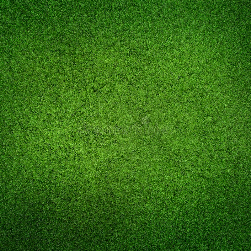 Grass texture stock photo. Image of pattern, environment - 30001940